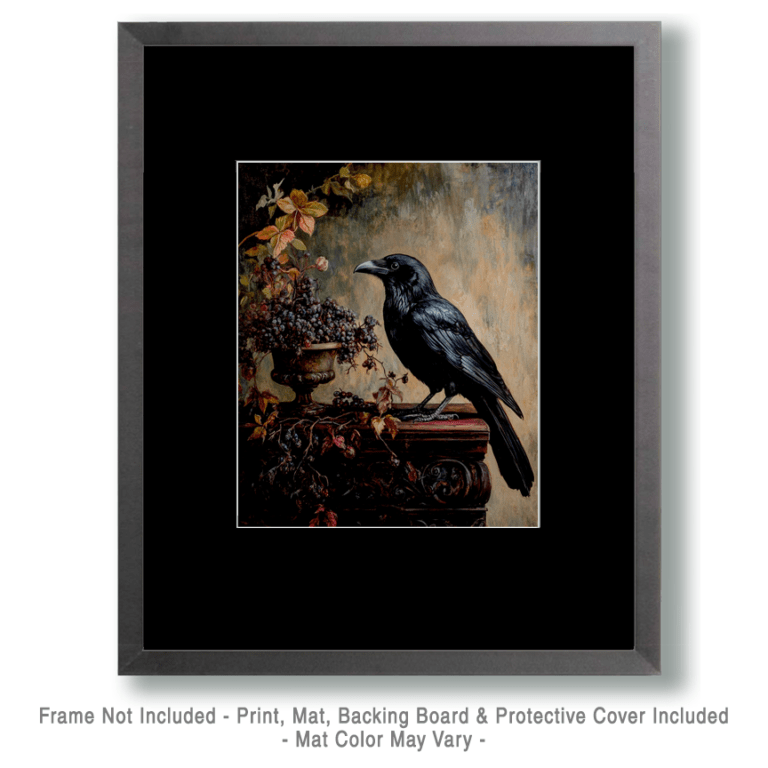 Vintage Raven - Animal Still Life Wall Art Prints – 8″x10″ Artwork for ...