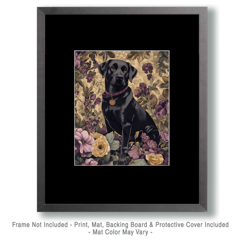 Black Labrador Retriever - Pet Dog Still Life Wall Art Prints – 8″x10 ...