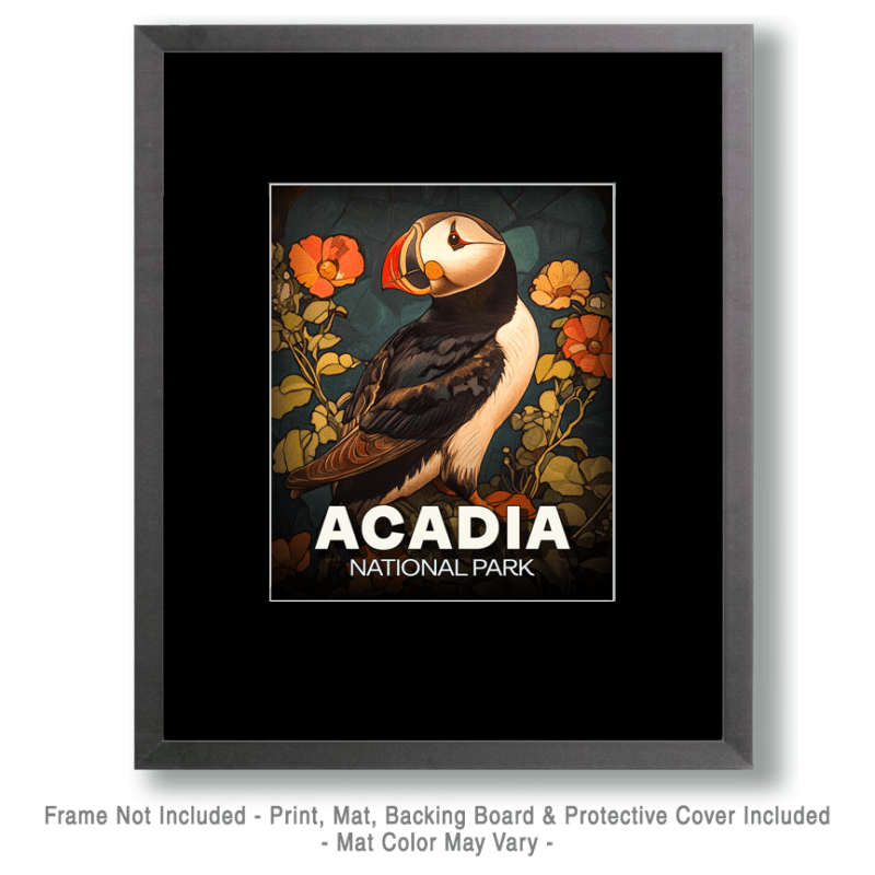 Vintage Puffin Still-Life - Acadia National Park Souvenir Art Prints ...