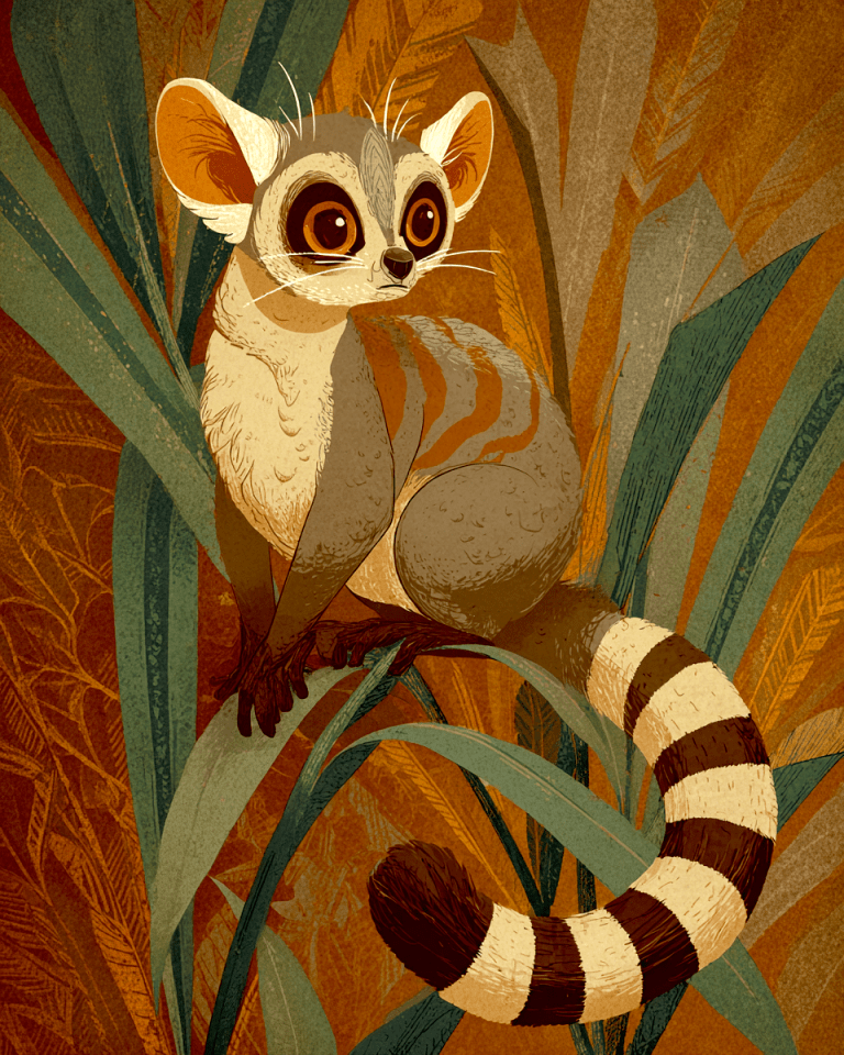 Stylized Ringtail Wildlife Art Print - 8"x10" Artwork for 11"x14" Frame ...